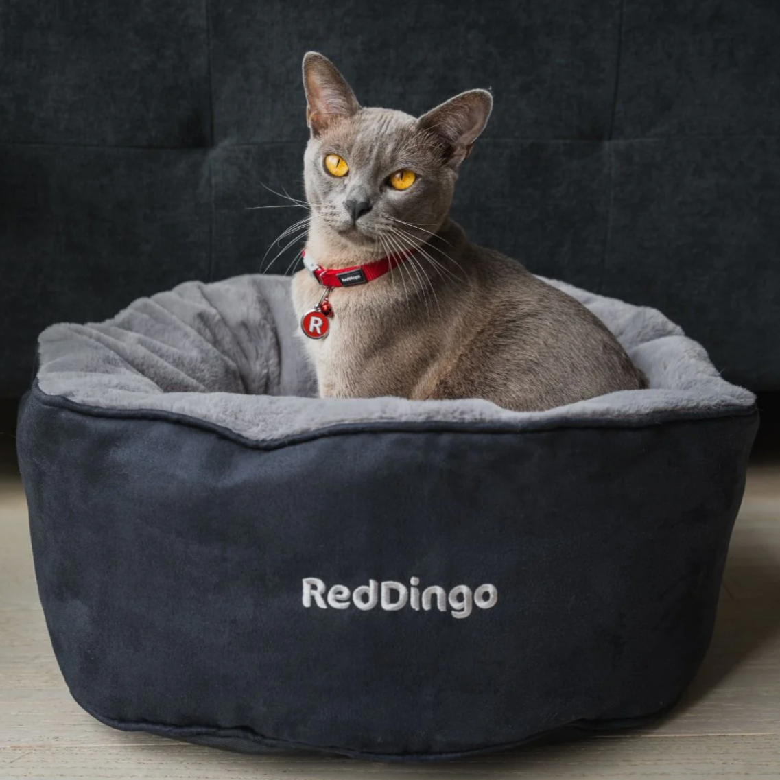 Red Dingo Cat Bed – Campbells Garden Centre